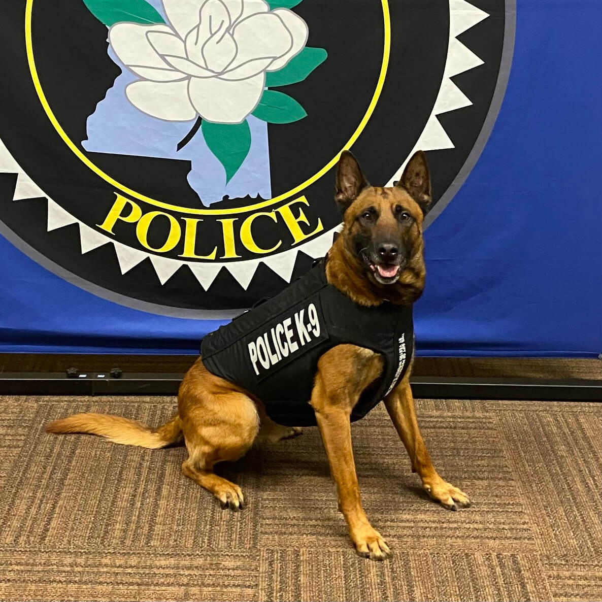 Southaven Police K9s get body armor donations | DeSoto County News