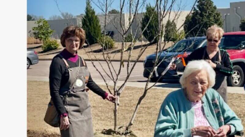 Garden club members plant tree at Culpepper Place | DeSoto County News