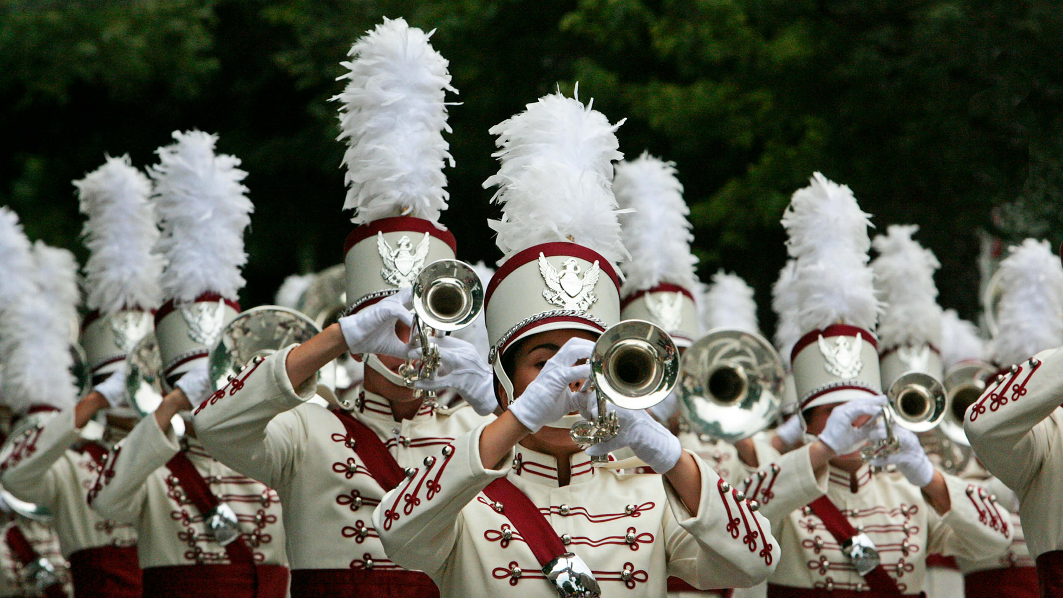 Loome: Tim Tebow legislation detested by parents | DeSoto County News