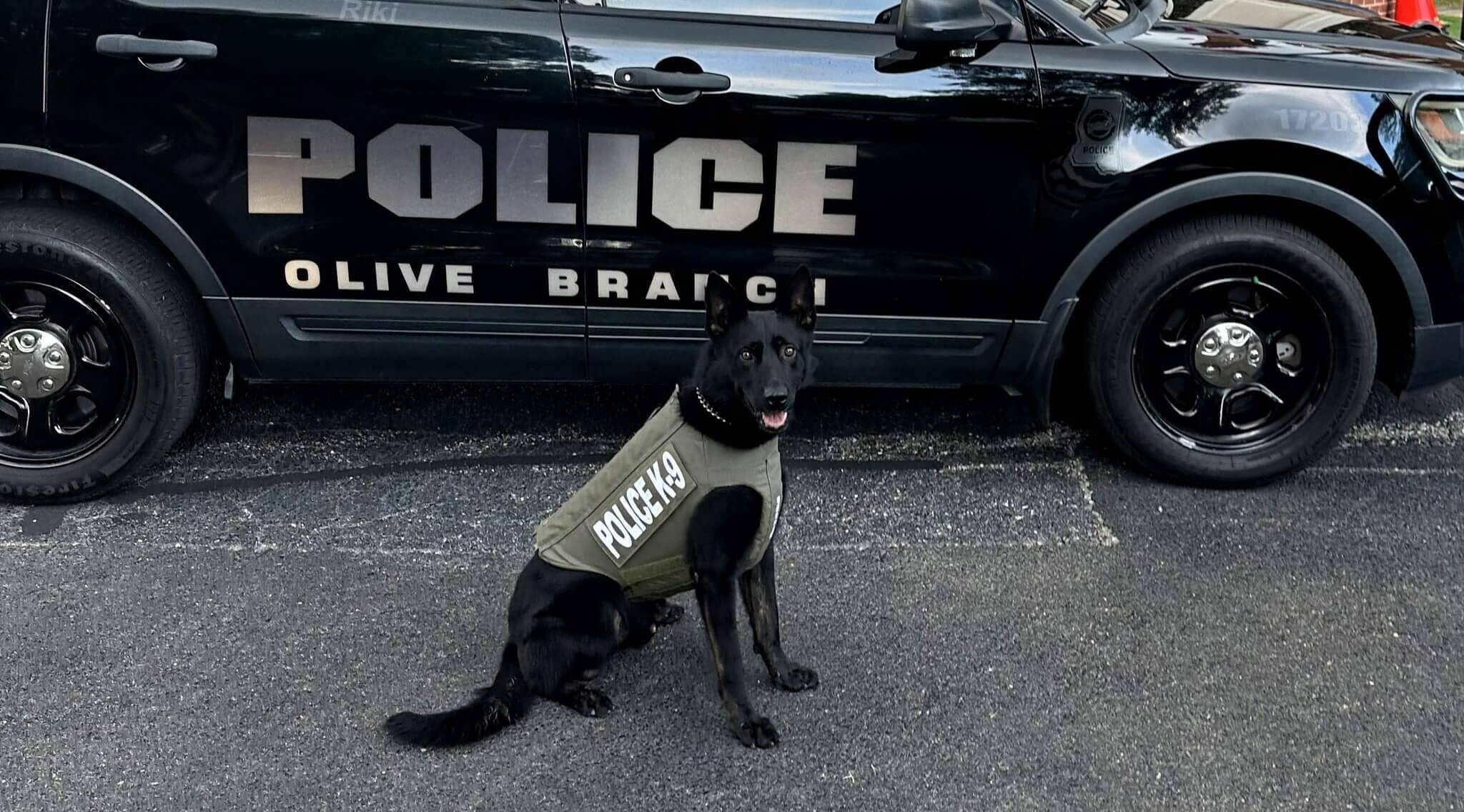 Olive Branch Police K9 receives protective body armor donation | DeSoto ...