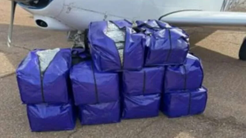 Two arrests, marijuana and $295K seized in drug bust | DeSoto County News