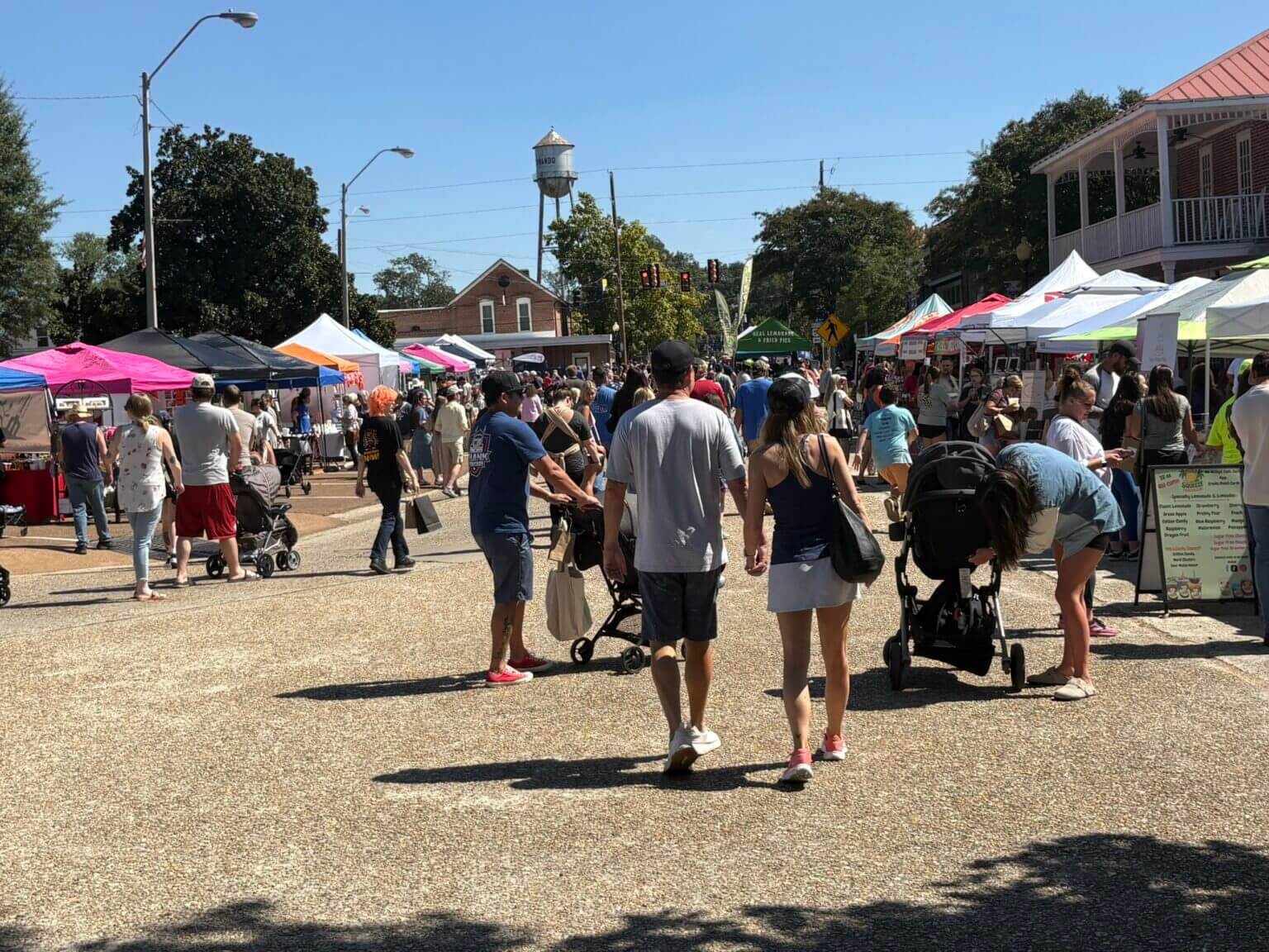 Hernando hosts annual Water Tower Festival in busy weekend for county events | DeSoto County News