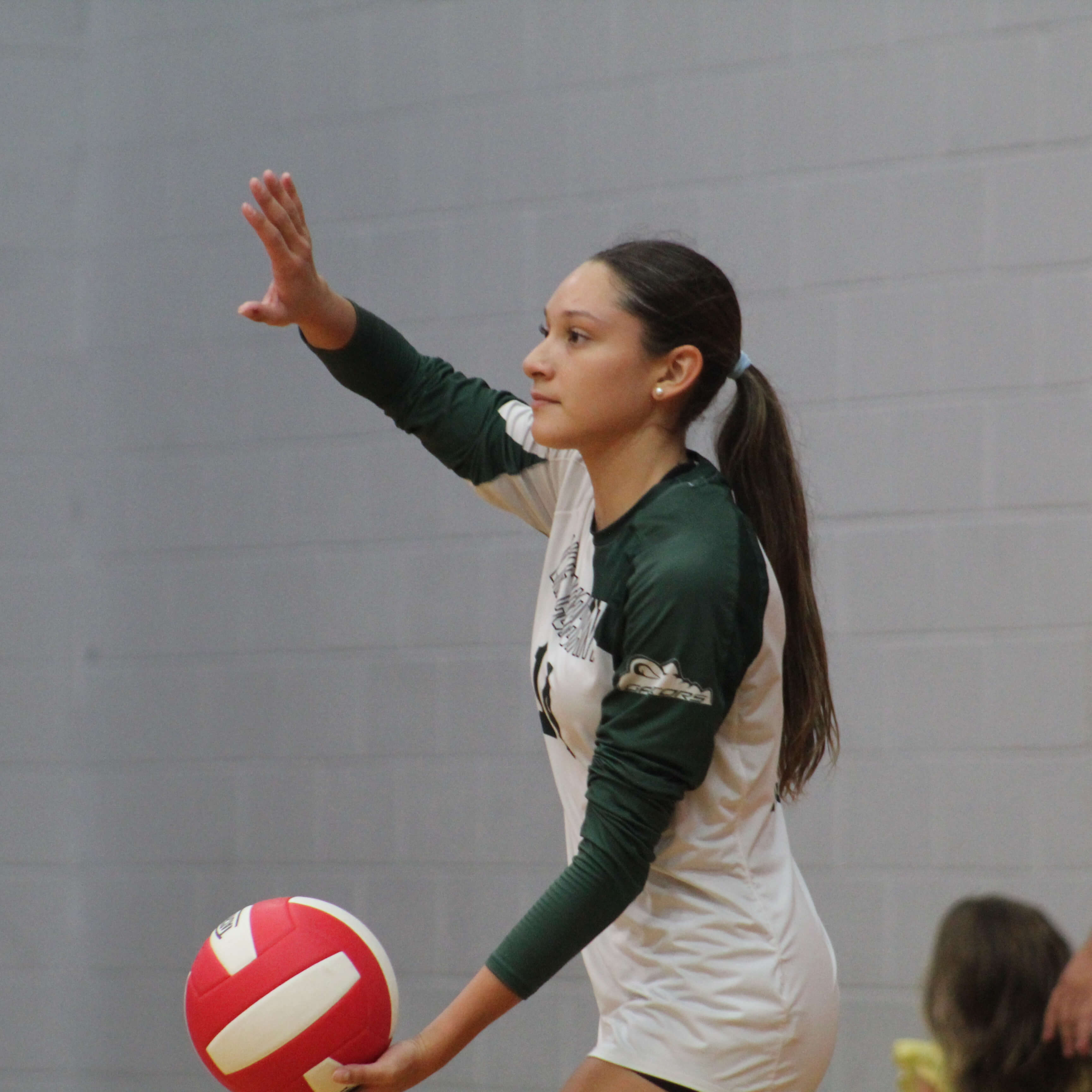 Gonzalez, Cole bring Miss Volleyball honors to DeSoto County | DeSoto ...